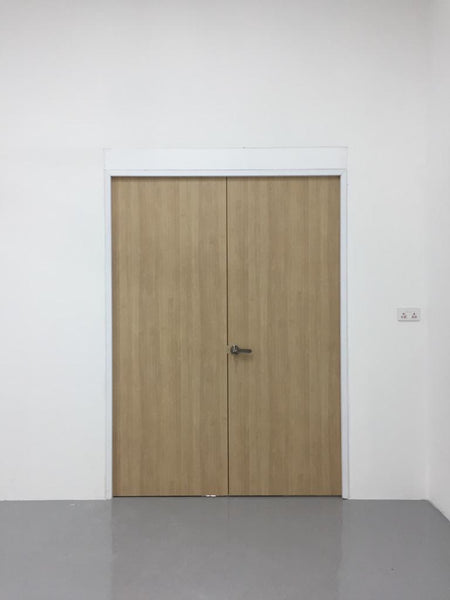 Condo and Landed Customize Main Door – Yourdigitallock